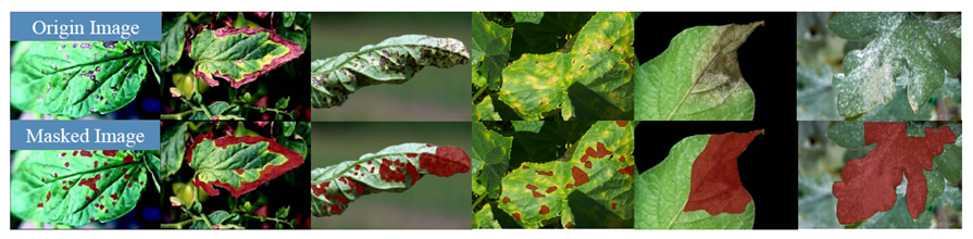 PDDD-PreTrain：一系列常用的预训练模型支持基于图像的植物病害诊断 - 知乎