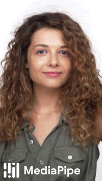 Face Mesh，采用机器学习，打造人脸3D表面动态轮廓 - 知乎