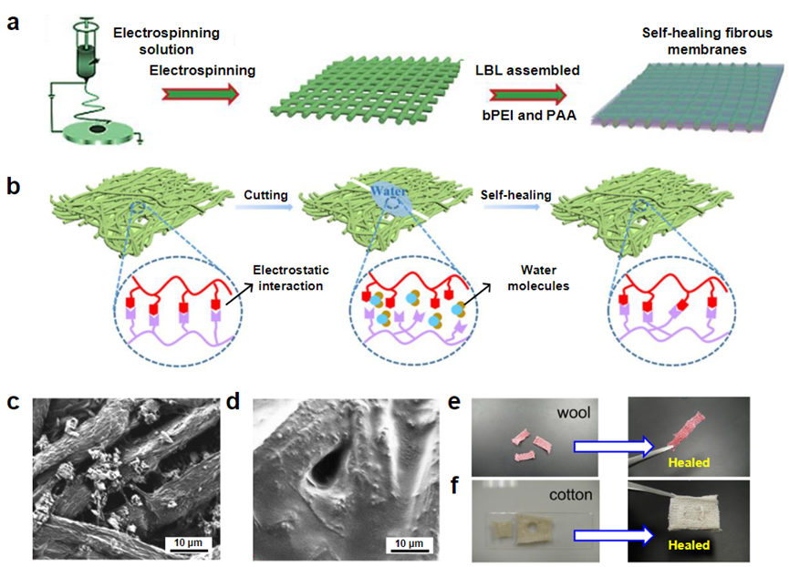 《Angew·综述》东华大学丁彬：自愈纤维薄膜！ - 知乎