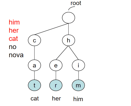 什么是 Trie 树 - 知乎