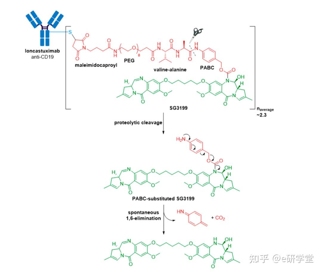 深度盘点FDA批准用于癌症治疗的抗体偶联药物（ADC） - 知乎
