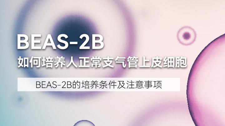 细胞学堂 |如何培养人正常支气管上皮细胞BEAS-2B - 知乎