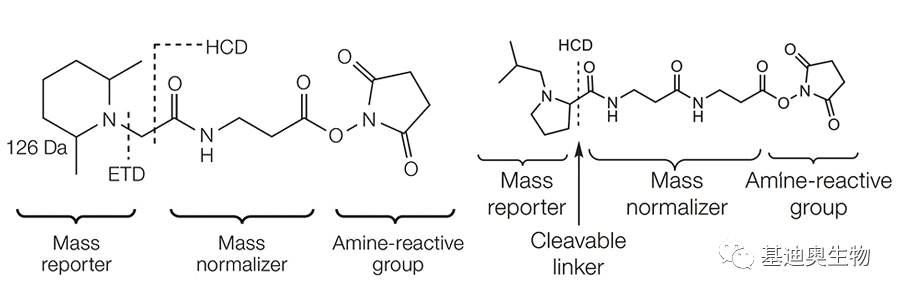 蛋白质谱定量技术——TMT pro - 知乎
