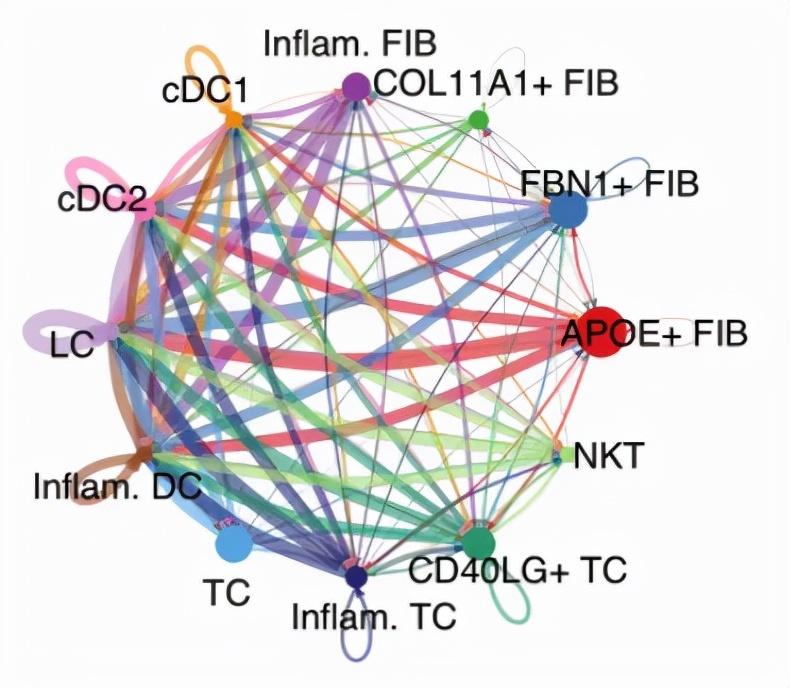 Nature子刊！CellChat-助力单细胞分析新角度 - 知乎