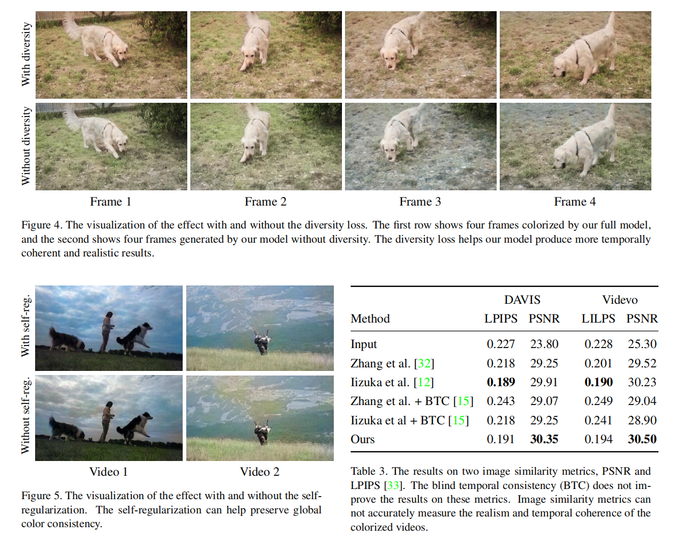 Fully Automatic Video Colorization with Self-Regularization and ...