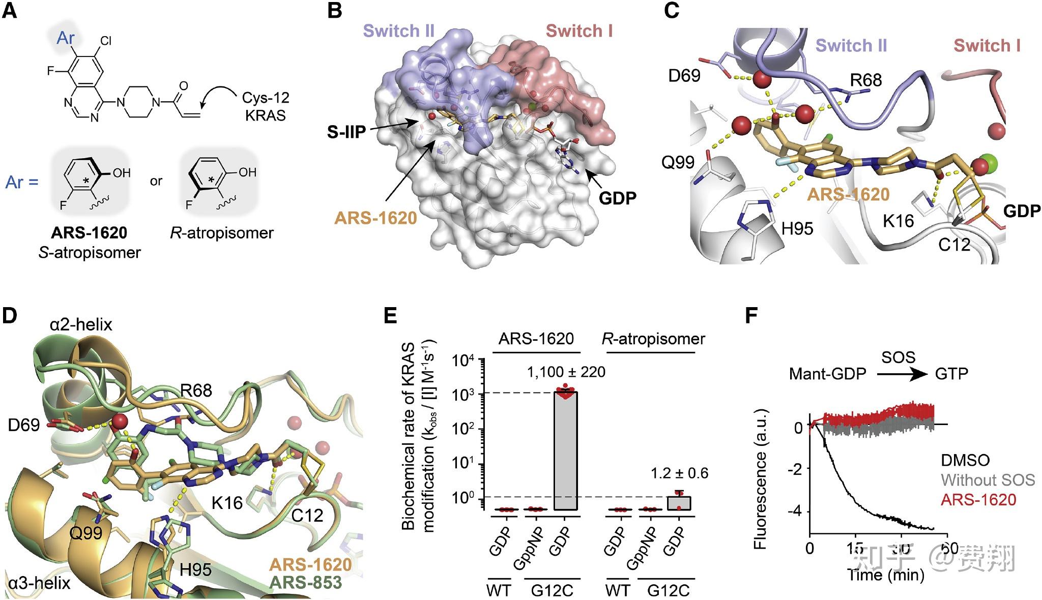 针对K-RAS突变癌症 - 知乎