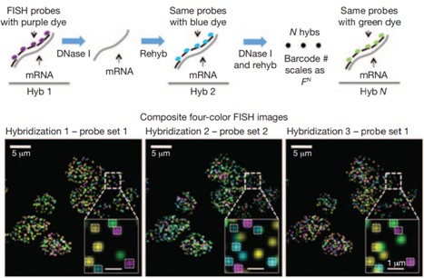 火爆科研圈的空间转录组是什么来路？ - 知乎