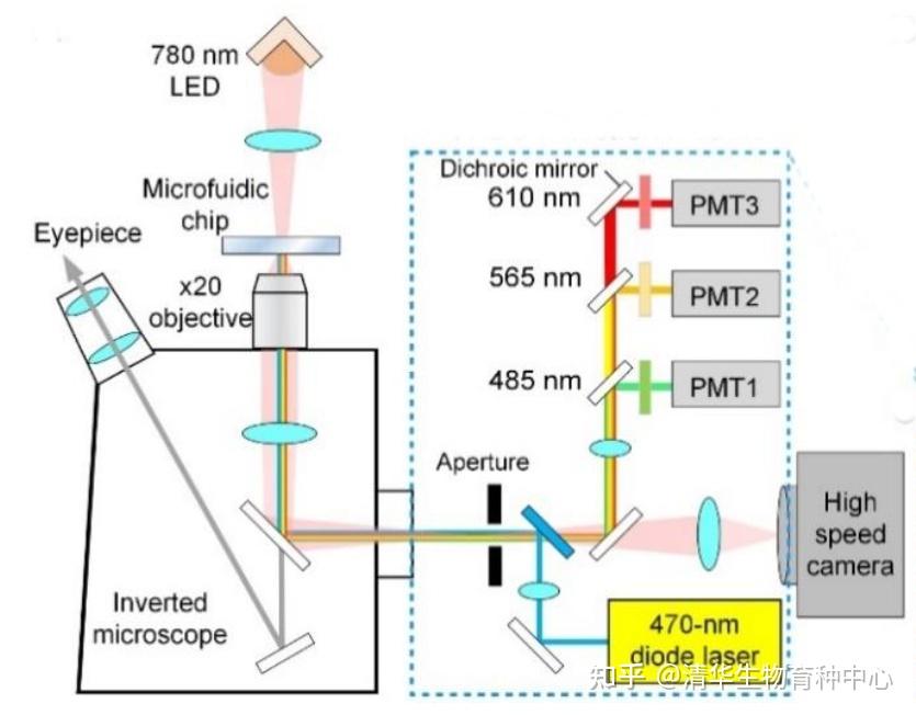 入门指南：DREM cell操作全攻略 - 知乎