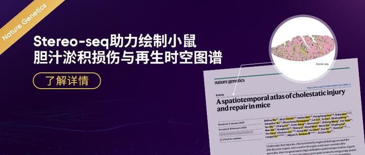 Nature Genetics | Stereo-seq助力构建小鼠肝脏稳态及再生模型的时空转录图谱 - 知乎