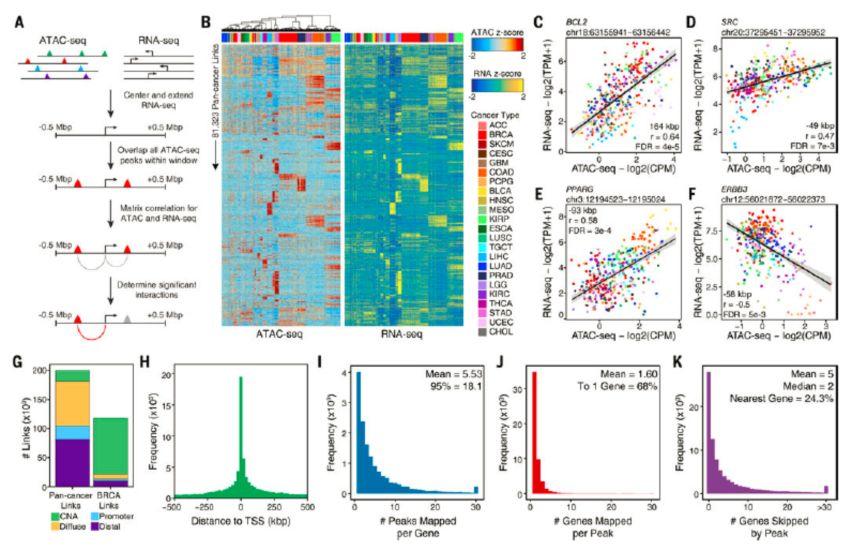 一文读懂表观遗传学研究利器——ATAC-seq技术及应用丨深度长文 - 知乎