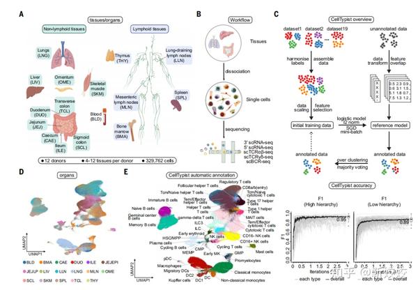 最全的人类器官单细胞图谱大合集 - 知乎