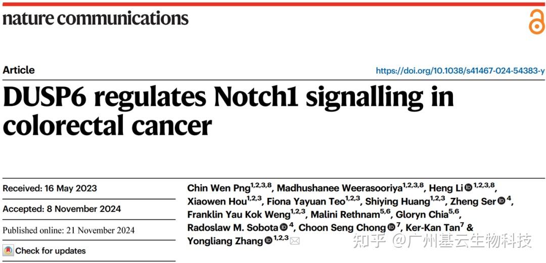 《Nat Commun》解读：去磷酸化抑制泛素化！DUSP6调控Notch1在结直肠癌中的信号传导 - 知乎