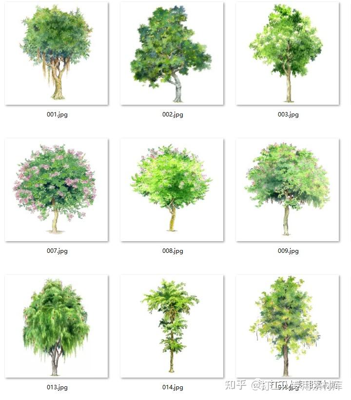 270款超棒的网红小清新手绘风and写实风立面树素材（1.2G） - 知乎