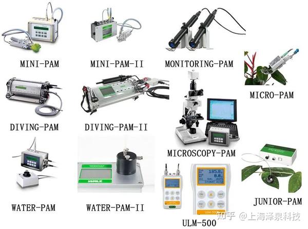 “泰裤辣”！WALZ发布多款PAM的新版软件！ - 知乎