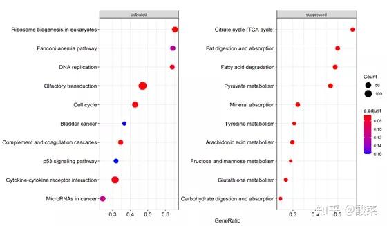史上最全GSEA可视化教程，今天让你彻底搞懂GSEA！ - 知乎
