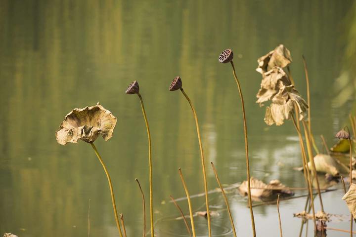 Wi-Fi 5（802.11ac）概要介绍 - 知乎