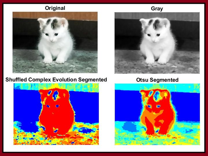 基于Shuffled Complex Evolution (SCE-UA) 方法的图像分割算法 - 知乎
