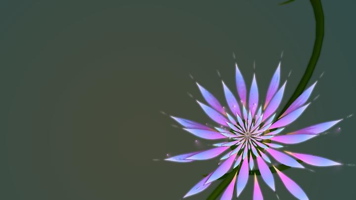 程序化建模：使用TouchDesigner实时生成一朵花 - 知乎