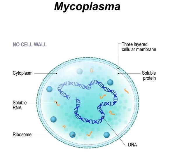 关于CDX模型，这些知识点你必须了解！ - 知乎