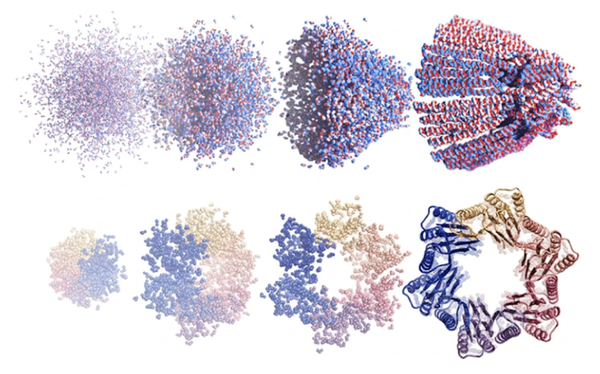 Nature|Diffusion模型助力蛋白质从头设计，开启AI蛋白质设计新时代 - 知乎