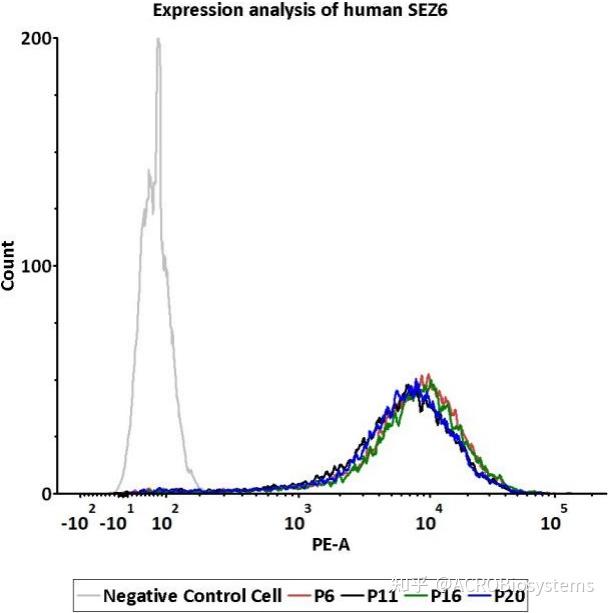 【靶点聚焦】小细胞肺癌新希望！SEZ6-ADC疗法大有可为 - 知乎