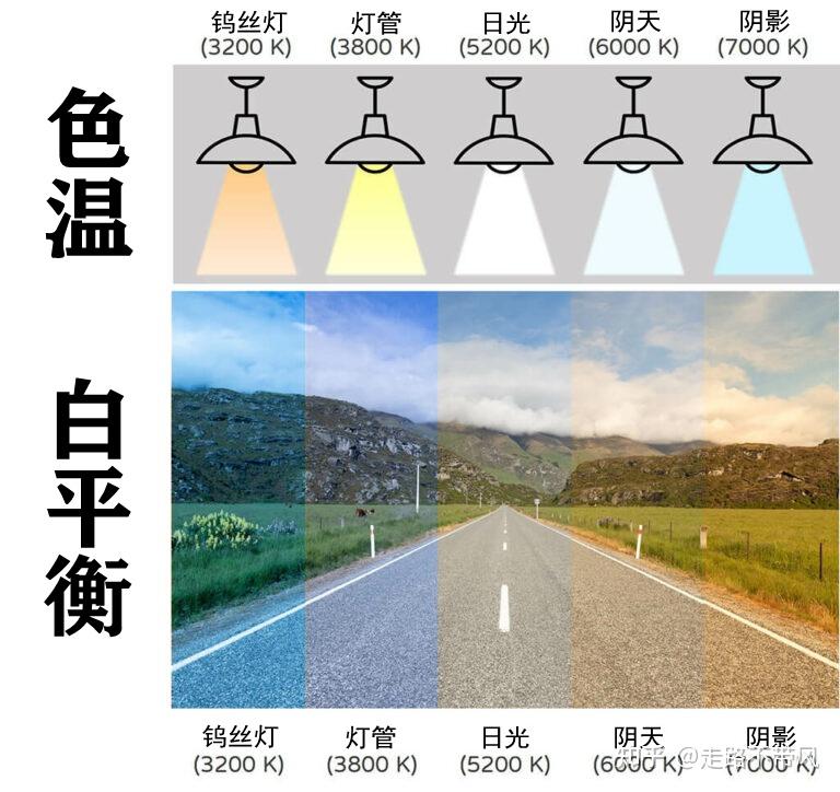 摄影新手入门：5分钟搞懂白平衡是什么？拍照时又该如何设置？ - 知乎