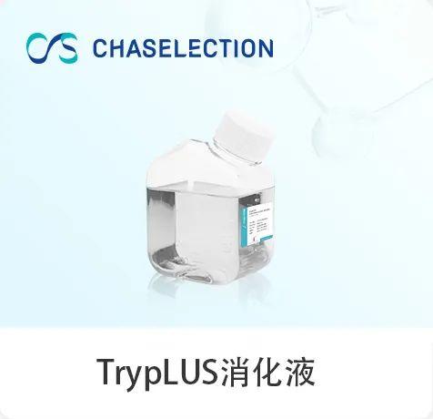 TrypLUS与Trypsin | 胰酶消化的细节，你知道多少？ - 知乎