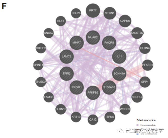 7分+双疾病纯生信分析又整新活了！整合“机器学习”标志物筛选、单基因分析和药物分子对接，思路升级不学就亏大啦！ - 知乎