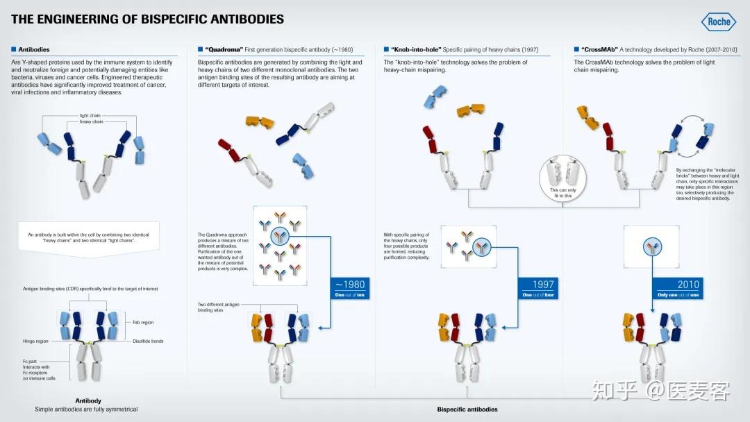 双抗赛道布局火热！艾伯维与Genmab宣布达成40亿美元的潜在合作｜医麦猛爆料 - 知乎