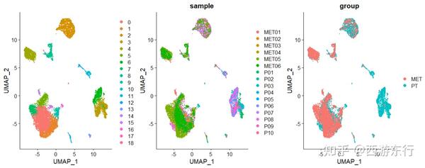 scRNA分析|多样本merge 和 harmony去批次 - 知乎