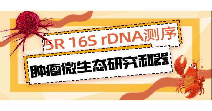 肿瘤微生态研究利器——5R 16S rDNA测序 - 知乎