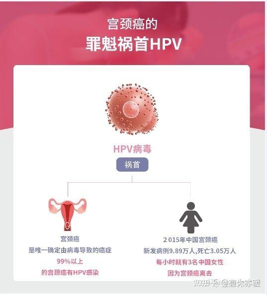 HPV51高危阳性是什么意思，HPV高危阳性癌变的可能性有多大 - 知乎