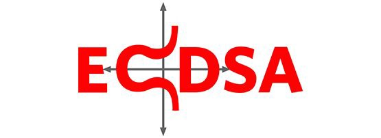 sCrypt 中的 ECDSA 签名验证 - 知乎