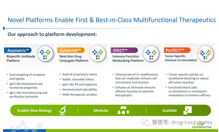 Zymeworks：双抗及双抗ADC技术梳理 - 知乎