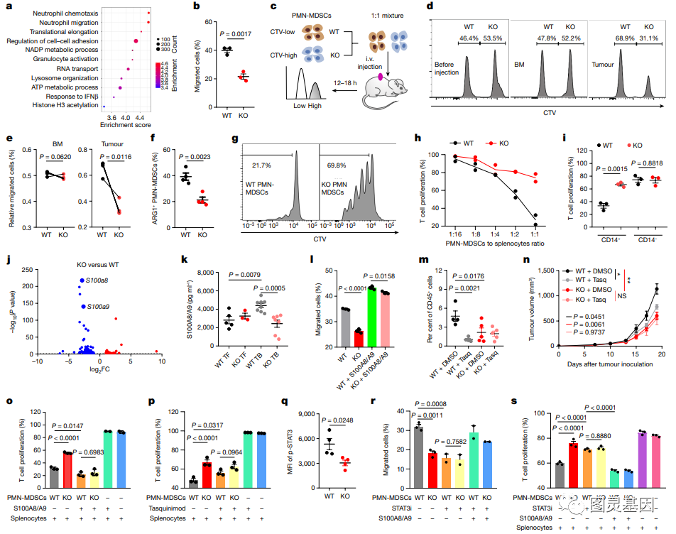 Nature | 复旦大学团队发现免疫治疗新靶点CD300ld - 知乎