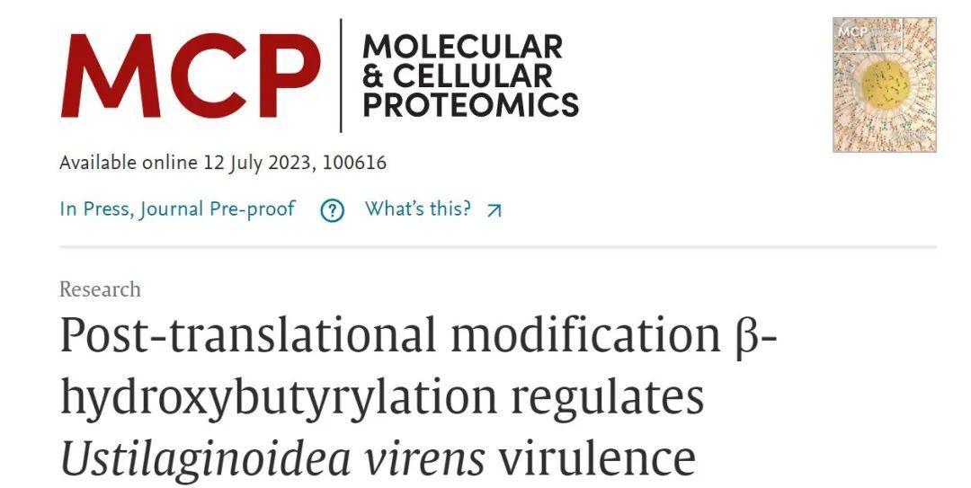 MCP重磅 | β-羟基丁酰化修饰组学揭示稻曲病菌致病新机制 - 知乎