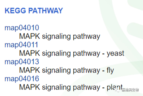 MAPK通路(ko04010)专题解析（上） - 知乎