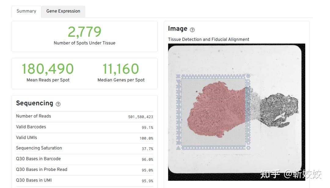 Visium Cytassist新鲜冰冻组织样本数据惊艳亮相！解锁更多可能 - 知乎