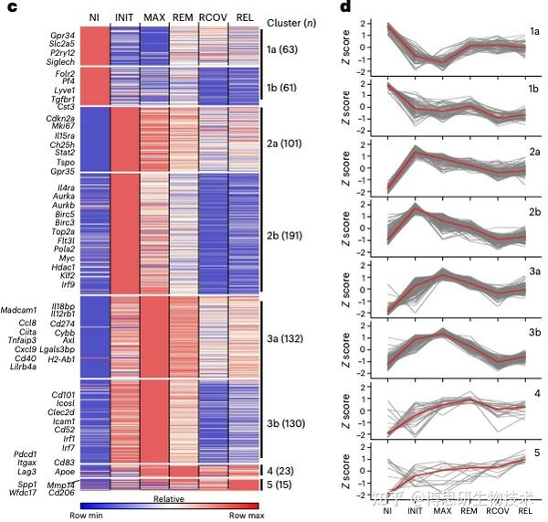 小胶质细胞通过MHCII和IFNγ信号影响Treg细胞参与EAE发生发展 - 知乎