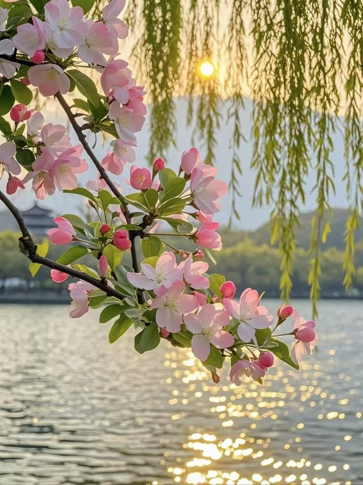 百代生物研发成功生物素标记核苷酸Biotin-16-UTP - 知乎