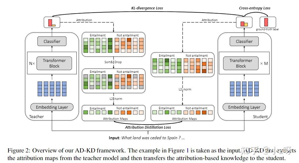 【46论文泛读】AD-KD: Attribution-Driven Knowledge Distillation for Language Model Compression - 知乎