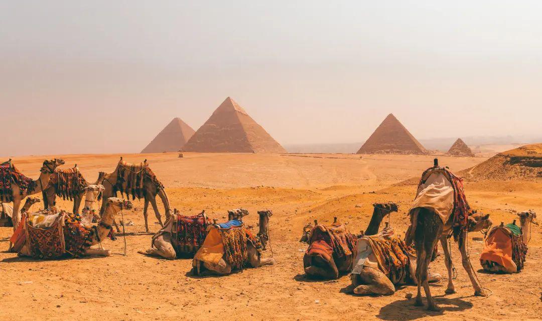 去埃及怎么玩？国内往返可直飞！超全埃及旅行攻略来了！ - 知乎