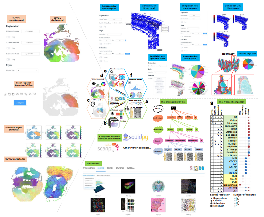 Nat Methods | SODB推动空间组学数据的全面探索 - 知乎
