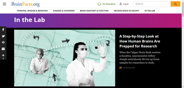 神经科学入门｜来BrainFacts一起了解“大脑那些事儿” - 知乎