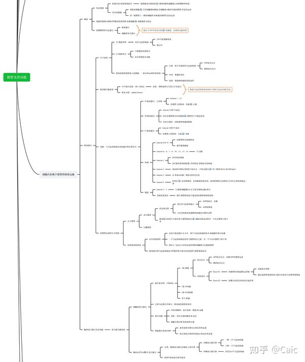 细胞生物学｜Ch.8 Sec.2_微管及其功能 - 知乎