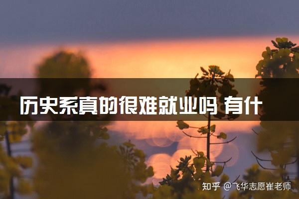历史系真的很难就业吗?有什么出路 知乎