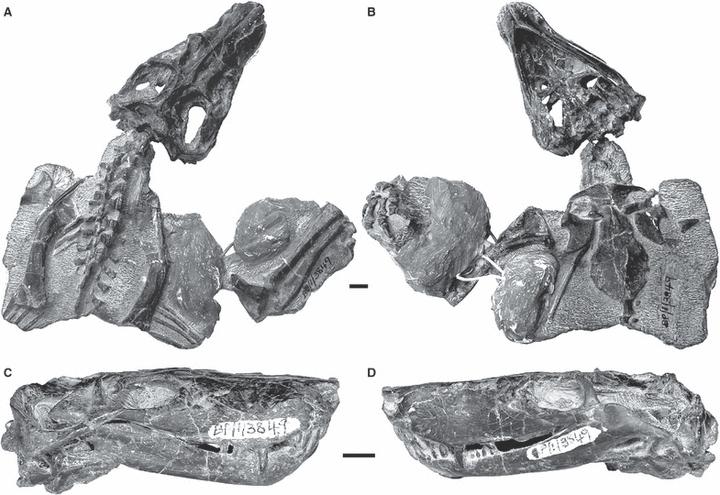 第二百五十六回 百兽图9：白云苍狗 - 知乎
