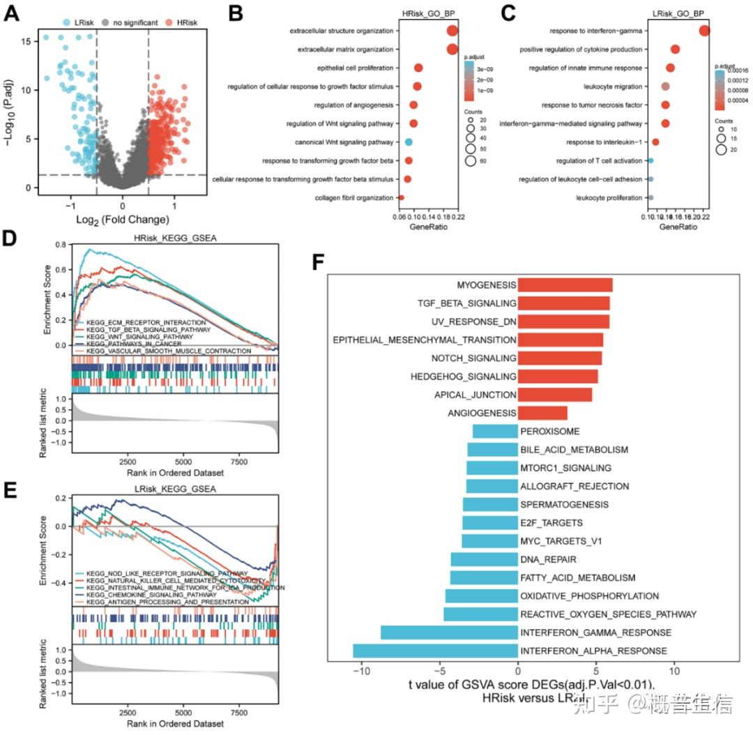 新型失巢凋亡相关基因预测卵巢癌预后模型构建与验证 - 知乎