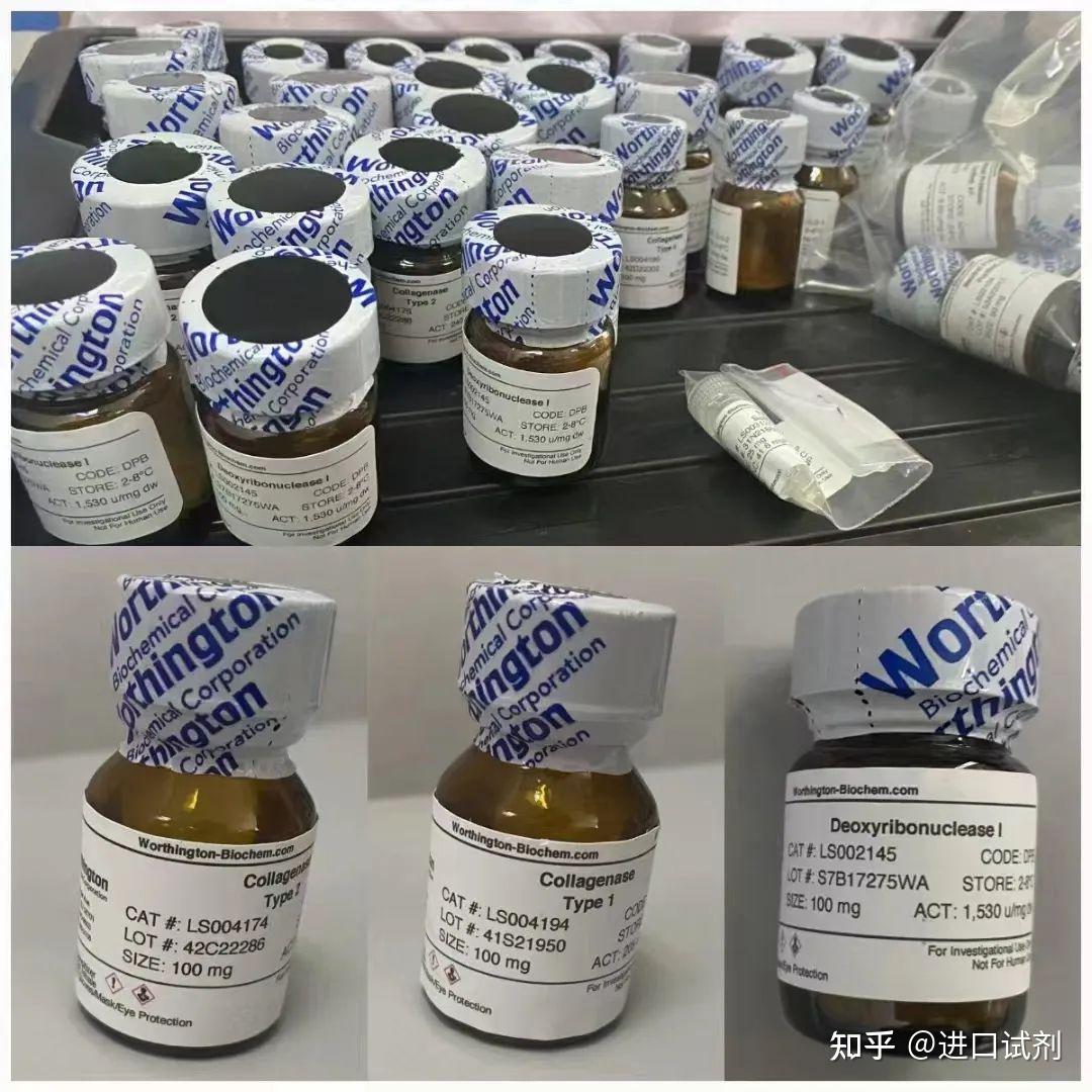 Worthington 专业原料酶生产厂家 - 知乎