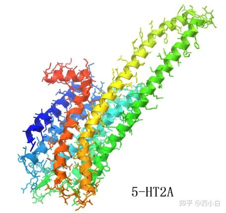 【探索】5-HT2A受体激活相关的潜在影响及最新研究进展 - 知乎